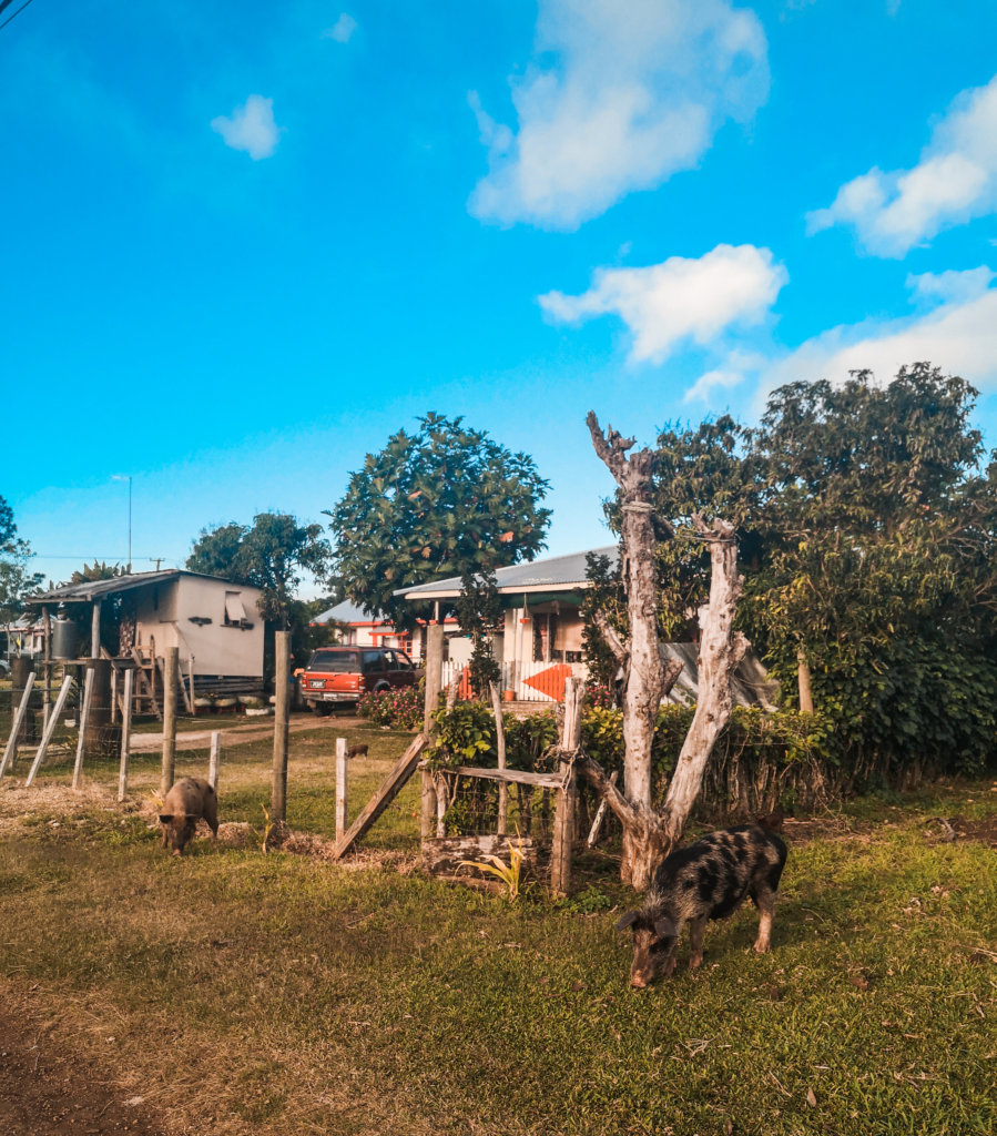 Visiting 'Eua: A Guide to Tonga’s Forgotten Island