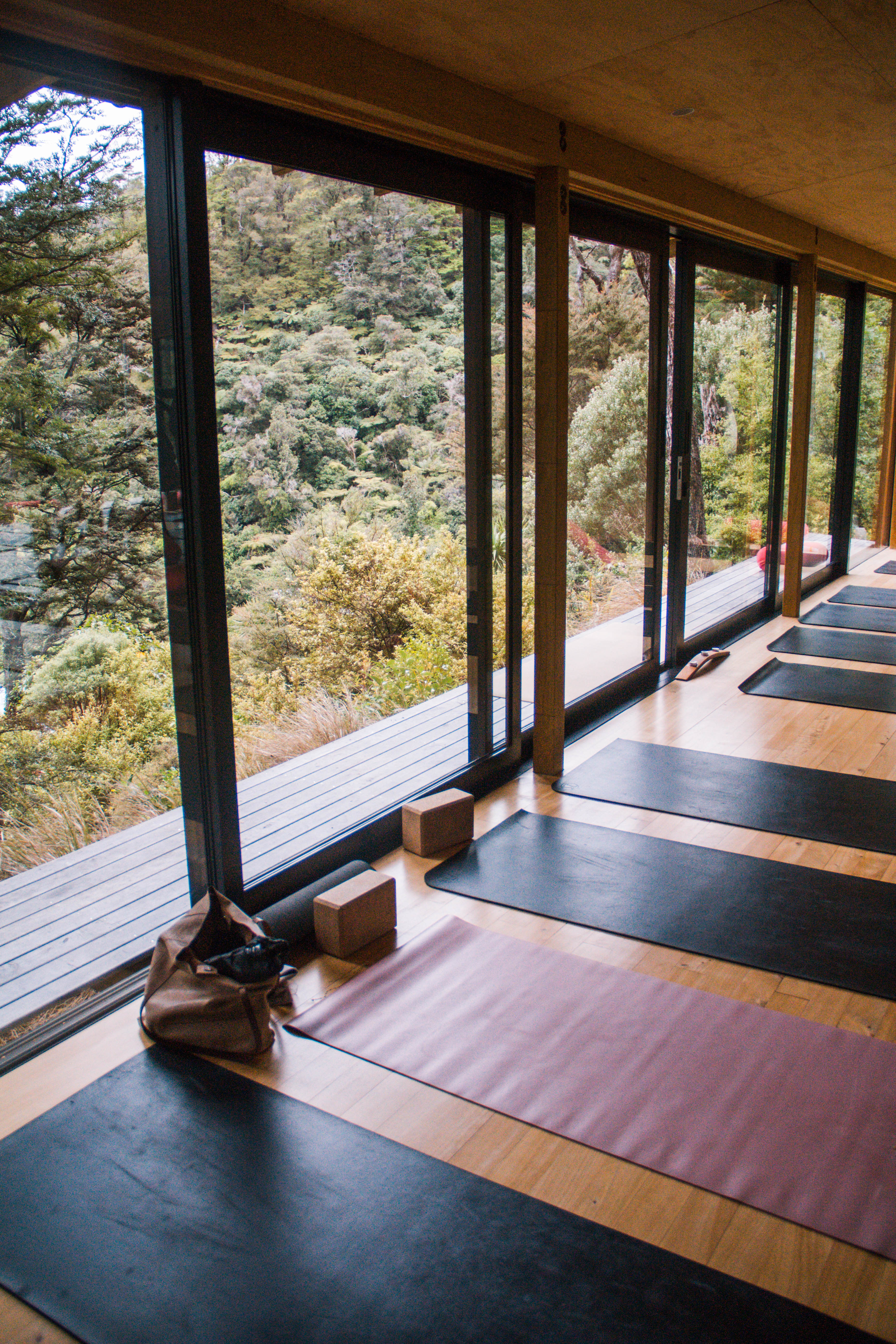 Wellington Yoga: Best Yoga Studios for the Perfect Flow