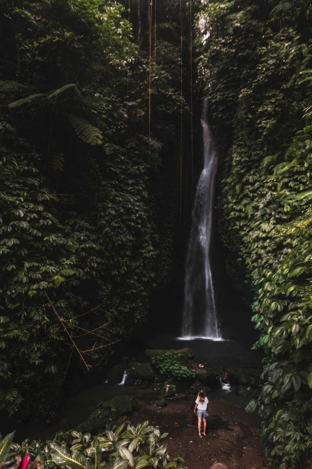 The Best Of North Bali: 16 Stunning Spots + Complete Itinerary