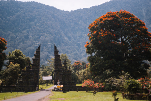 Munduk Bali: Best 2-Day Itinerary (Waterfalls & Misty Mountains)