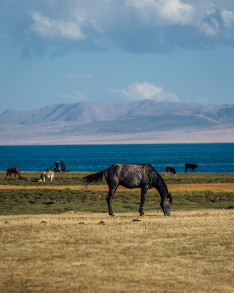 Kyrgyzstan Horse Trekking: 3-Day Trek to Son-Kul Lake