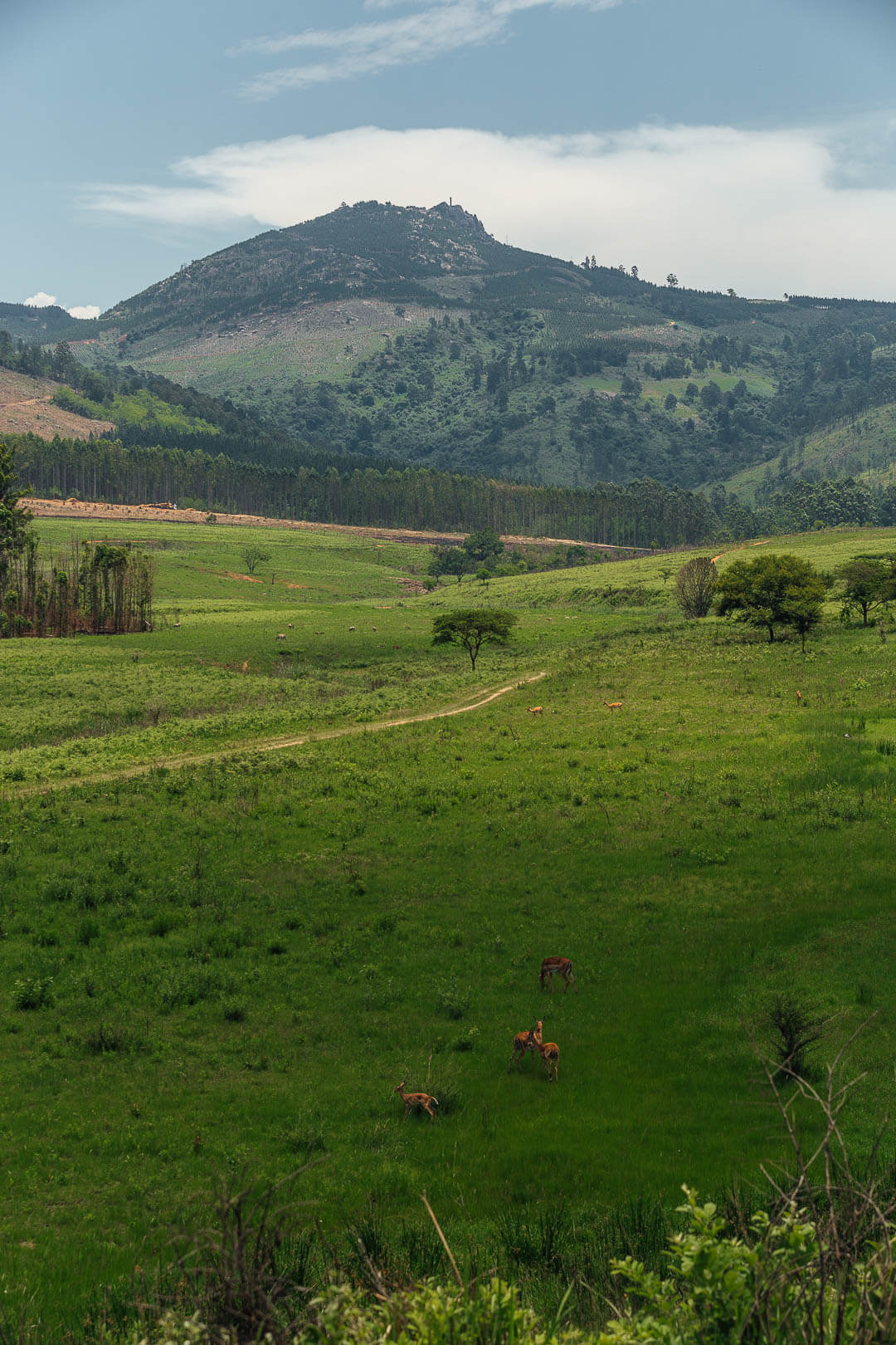 Exploring Eswatini Guide: Best Things to Do and See